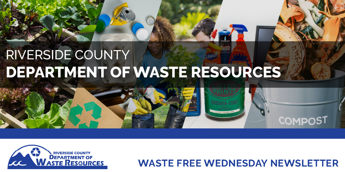 Waste Free Wednesday Newsletter | December 2021