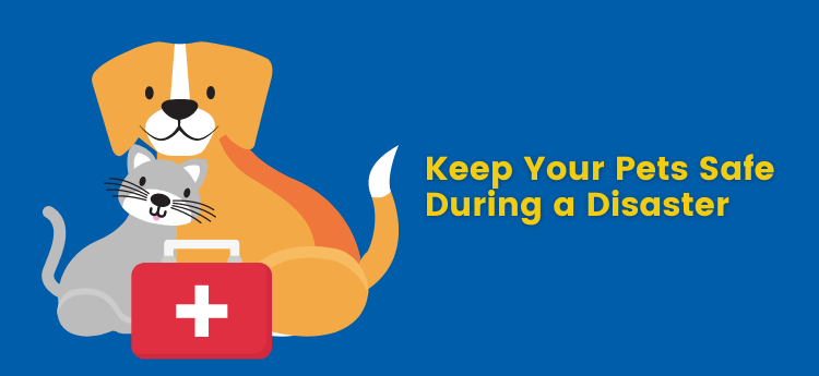 Sacramento County News Update: Keep Your Pets Safe During a Disaster