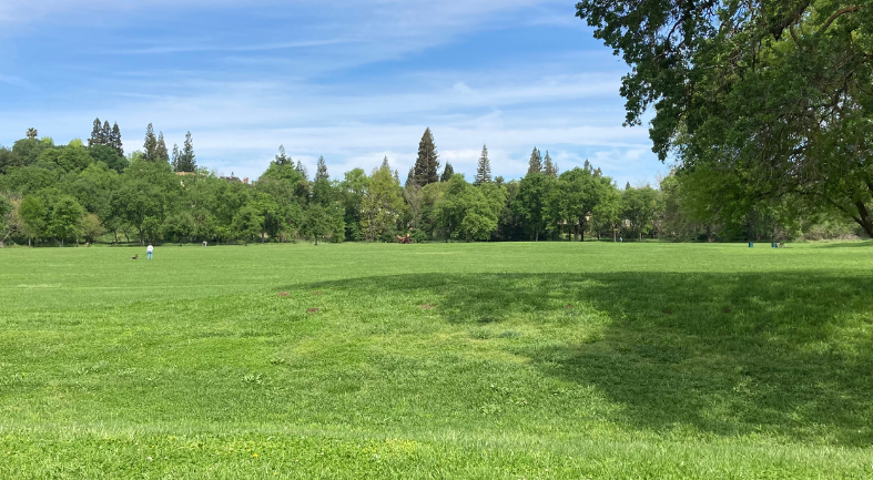 Sacramento County News Update: Temporary Closure of Ancil Hoffman Park ...