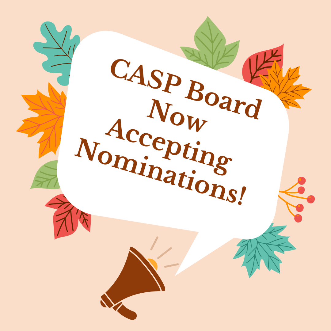 CASP Digest November 20, 2024