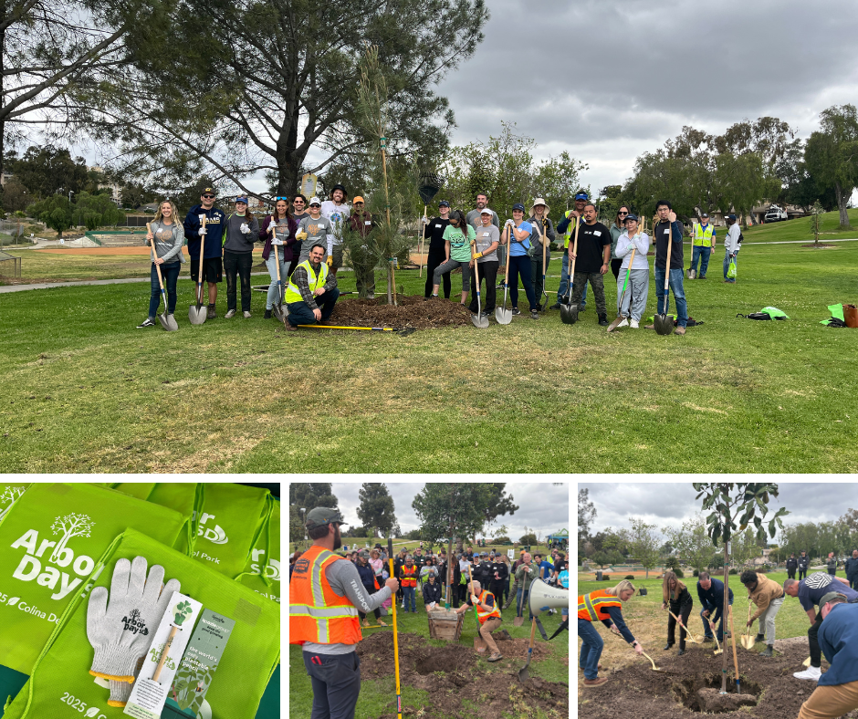 Message from the Mayor, Employee Spotlight, DSD Archives, Arbor Day ...