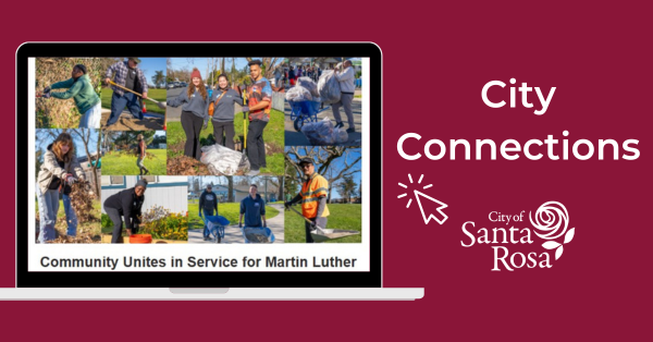 Santa Rosa City Connections: MLK Day of Service Recap | Rosa Parks ...