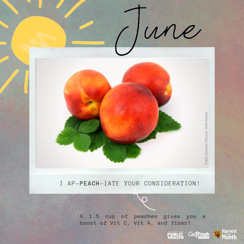 Nutrition and Physical Activity Monthly Themes Newsletter - June 2024