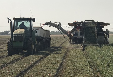 Spotlight on Ag: Harvest underway in Solano County