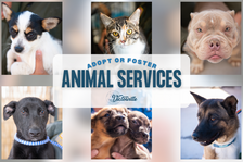 Victorville Connect: Oct. 16