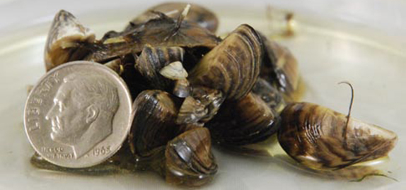 Important dates and fun events are on the horizon...