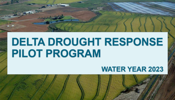 Application Available: Delta Drought Response Pilot Program