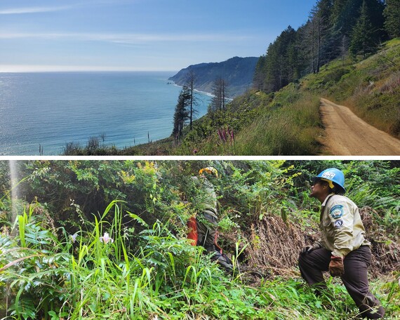 California State Parks: Weekly Digest - June 23, 2023