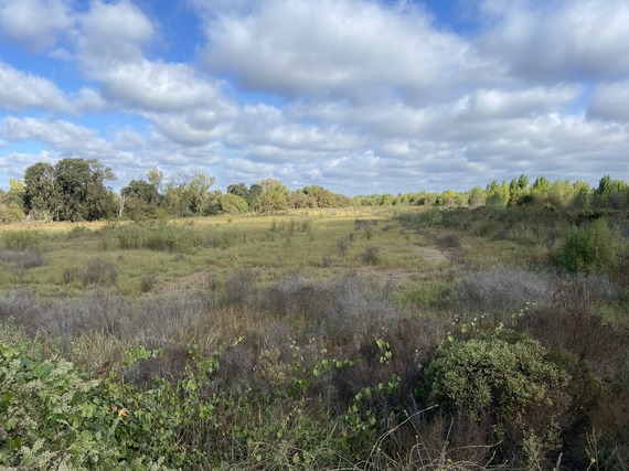 California State Parks: Weekly Digest - January 26, 2024