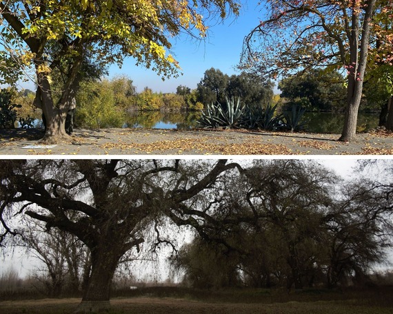 California State Parks: Weekly Digest - January 26, 2024