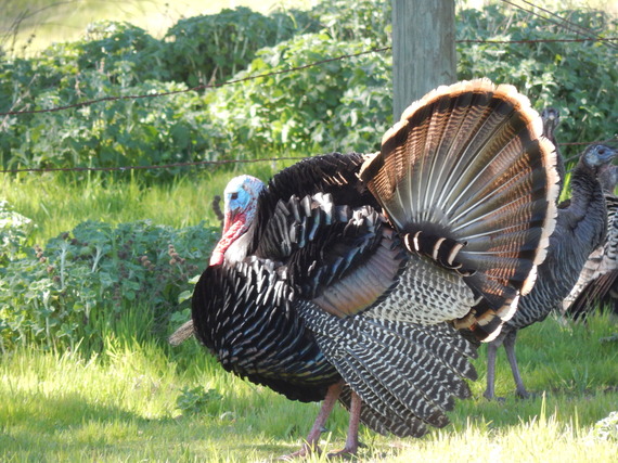 California State Parks: Weekly Digest - March 22, 2024