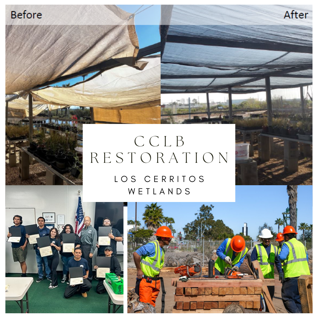 April 2024 Rivers and Mountains Conservancy Newsletter