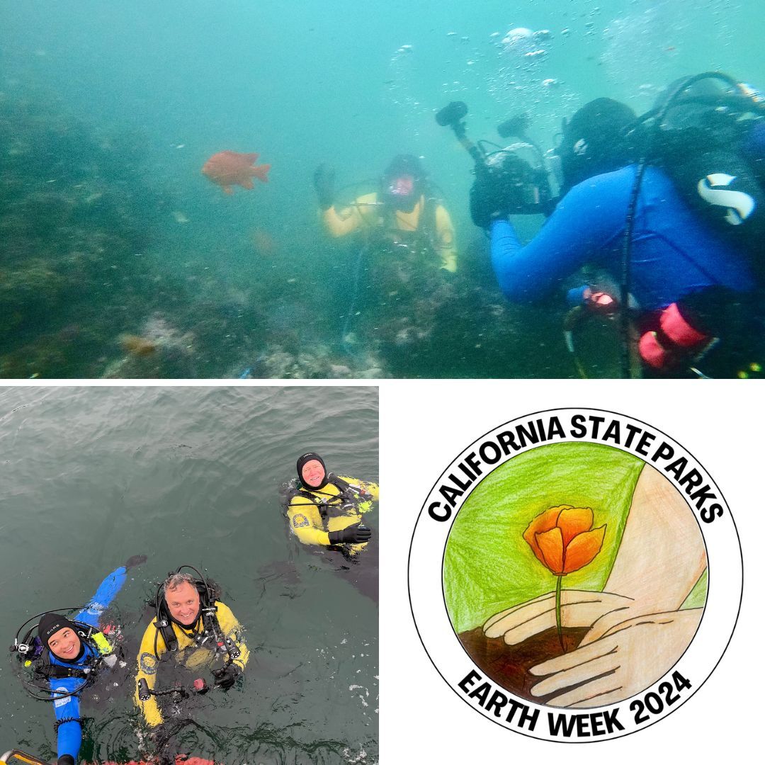 California State Parks: Weekly Digest - May 3, 2024