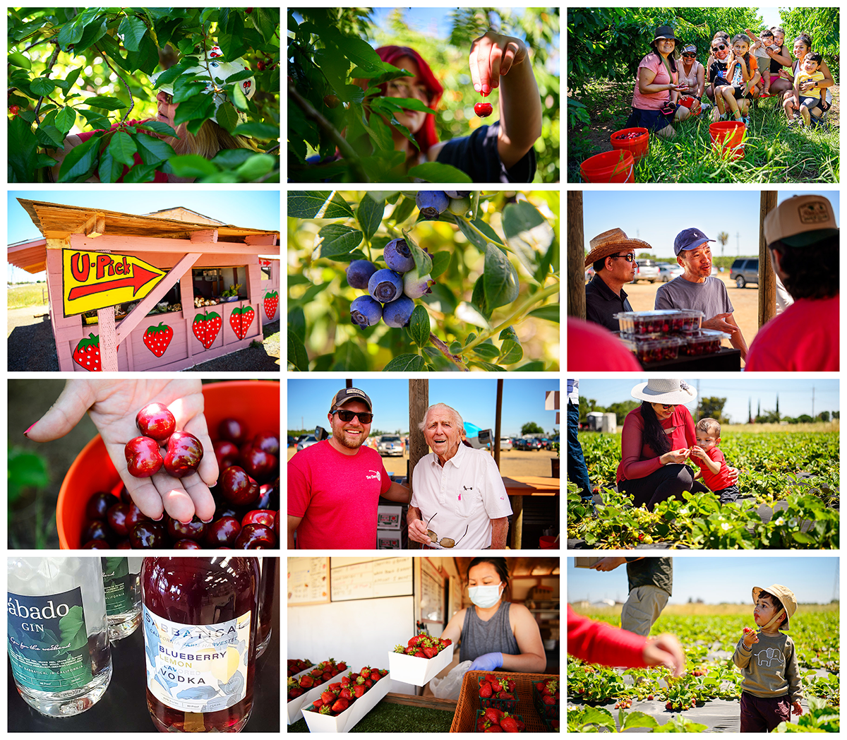 U-Pick Season, Nat'l Trails Day, Delta Champions, DPAC Appointments