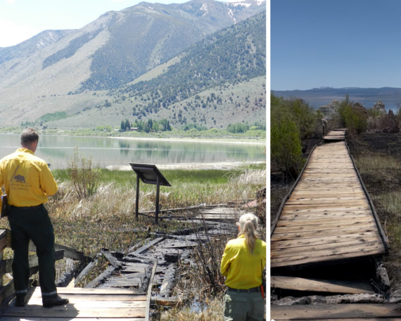 California State Parks: Weekly Digest - June 6, 2025