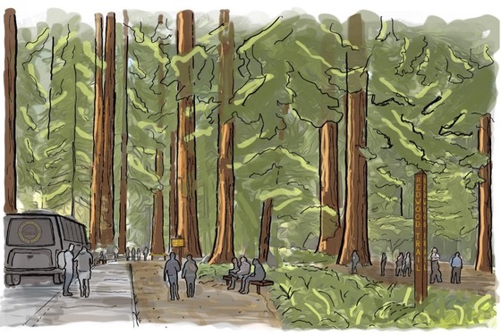 PRESS RELEASE: Big Basin Redwoods State Park Fire Rebuilding Plan ...