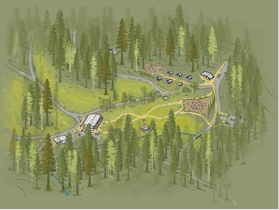PRESS RELEASE: Big Basin Redwoods State Park Fire Rebuilding Plan ...