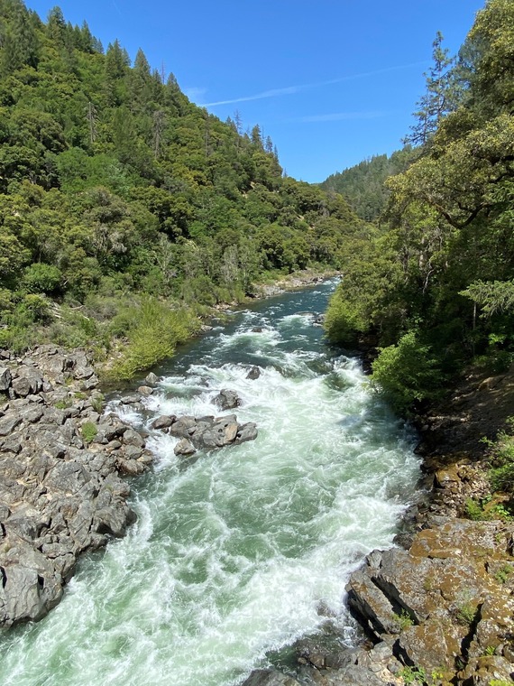 California State Parks: Weekly Digest - June 20, 2025