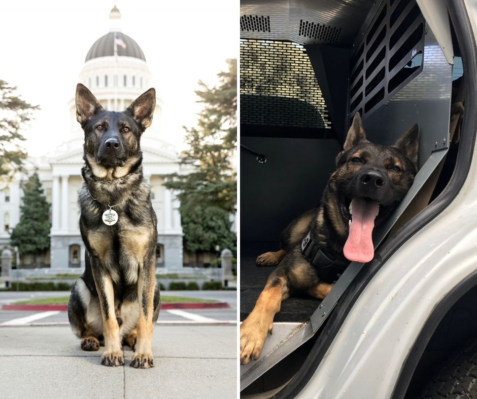 California State Parks: Weekly Digest - July 11, 2025