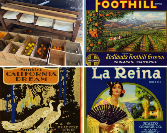 California State Parks: Weekly Digest - Sept. 26, 2025