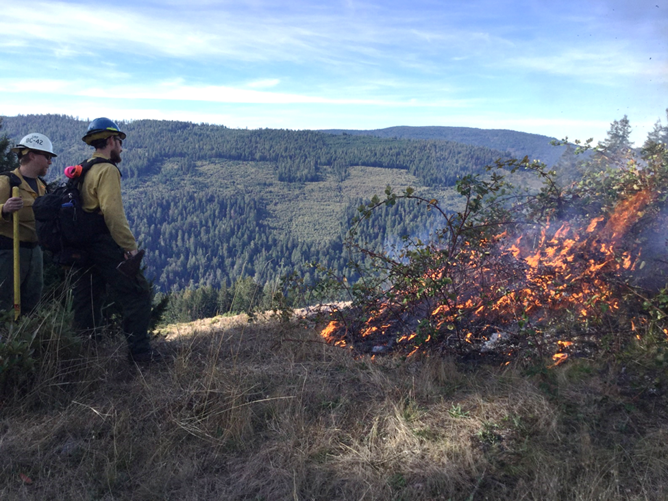California State Parks: Weekly Digest - Dec. 5, 2025