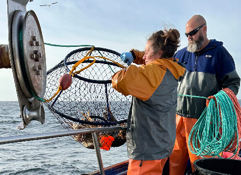 CDFW Marine Management News Blog Update: 2026 Regulation Changes for ...