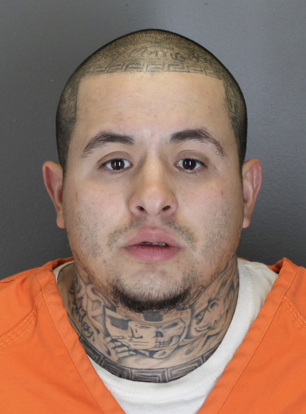 16 individuals indicted by Boulder County for distribution of illicit ...