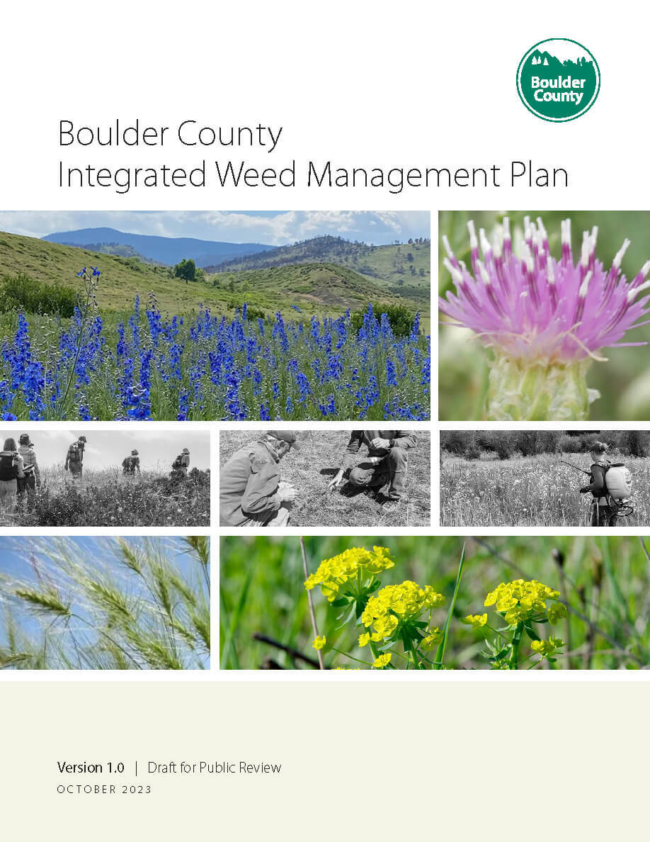 Draft Integrated Weed Management Plan Now Available for Review and Comment