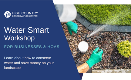 Water Smart Workshop