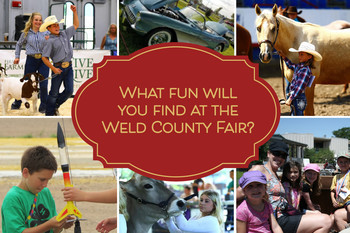 Summer events in Weld County, Colorado