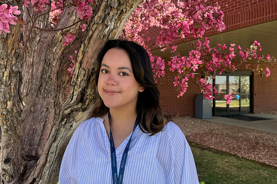 A bear in the board room