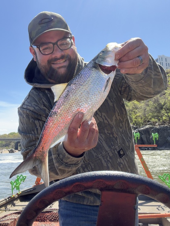 District Fishing Report - April 24th, 2026