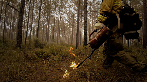 Commissioner Wilton Simpson Highlights Prescribed Fire Awareness Week