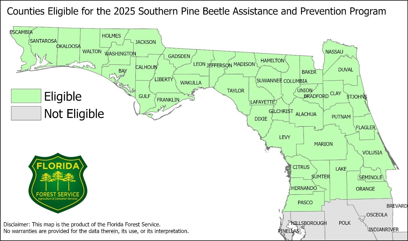 Florida Forest Service Opens 2025 Applications for Southern Pine Beetle ...
