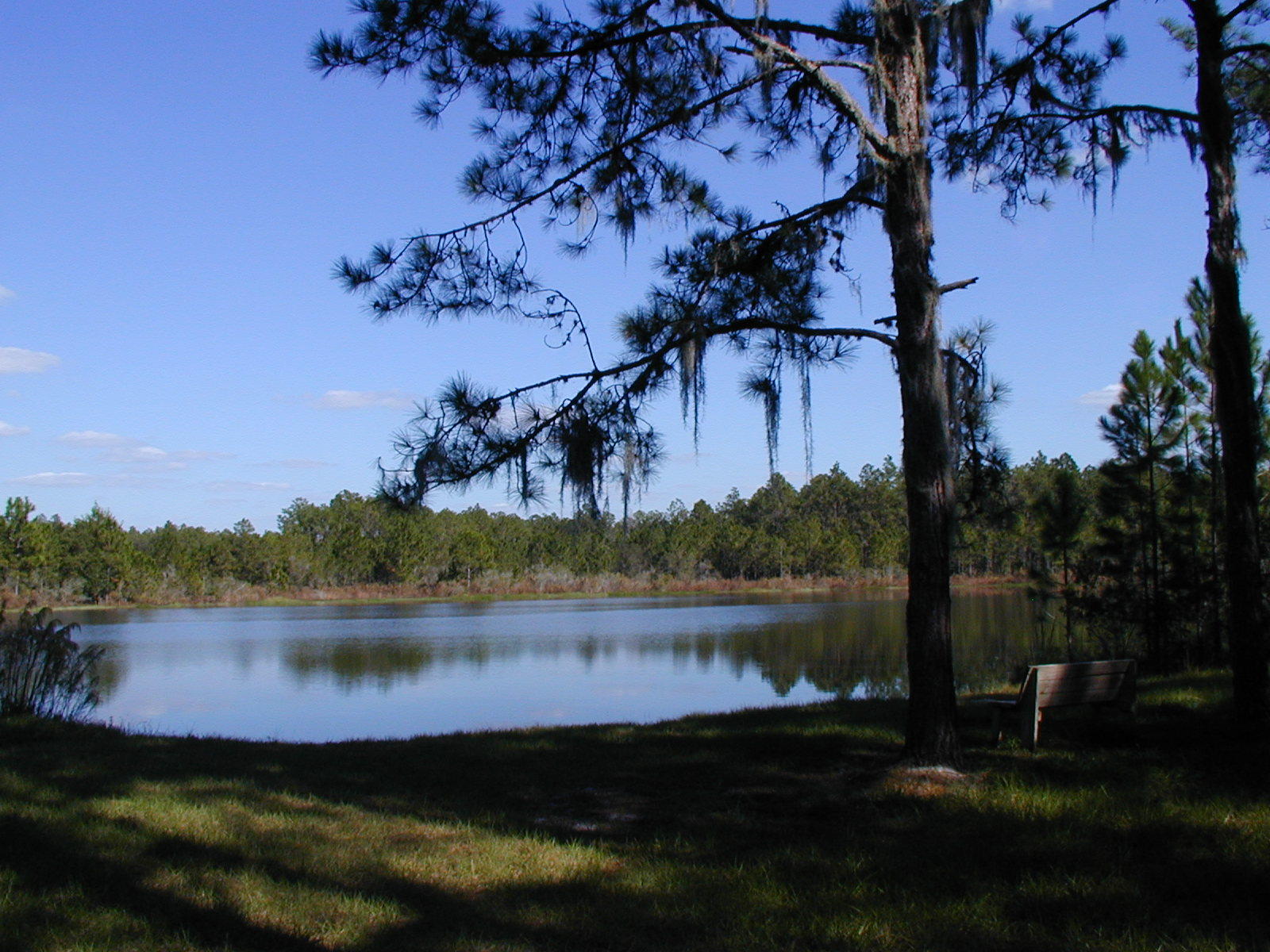 Take a Nature Break!