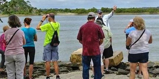 GTM Research Reserve Announces River-to-Sea Preserve Guided Trail Walk
