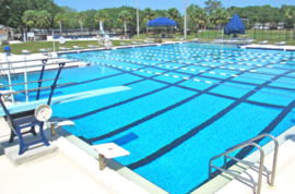 Read this week's DunediNEWS: City Hall Grand Opening, Hog Hustle 5k Run ...