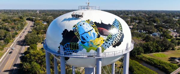Read this week's DunediNEWS: construction on Marina seawall begins, new ...