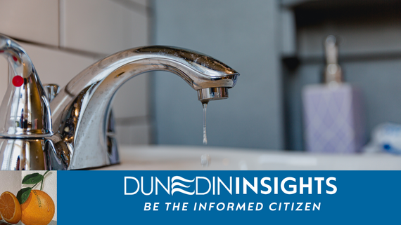 Read this Week's DunediNEWS: Marina and Pier update, water conservation ...