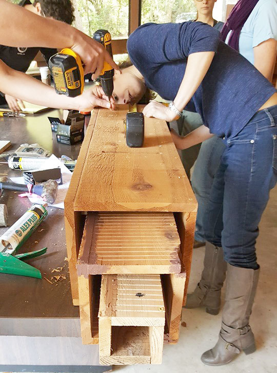 Inside Job, June Issue