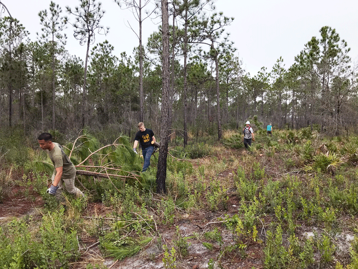 Inside Job April 2020 Edition