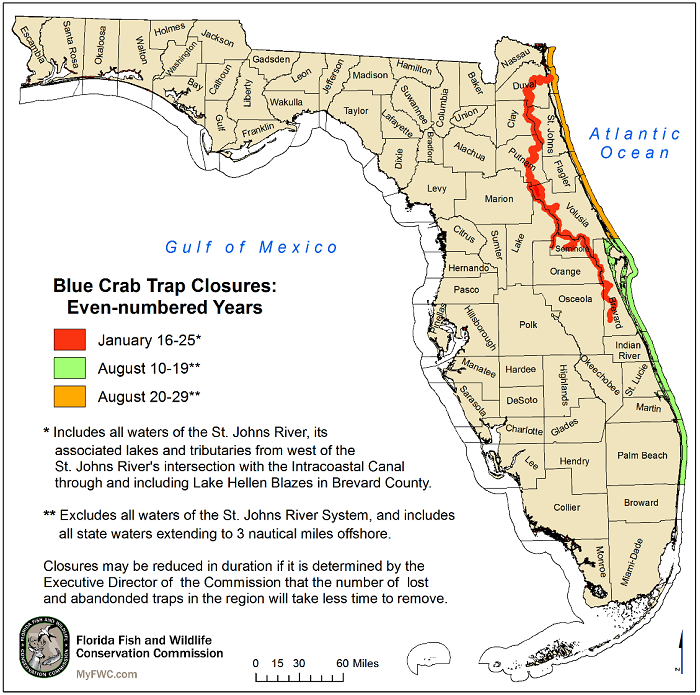 Northeast Florida blue crab trap closure ending early on Aug. 26