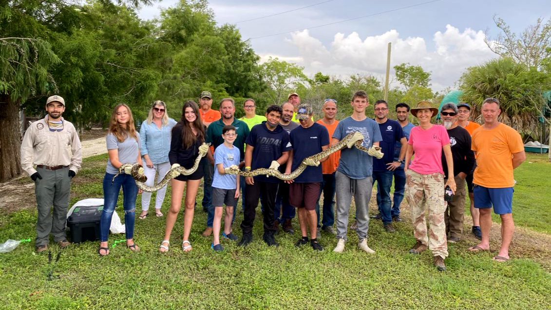 Python Patrol Virtual Thursdays