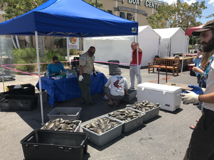 FWC, Southwest Florida CISMA invite the public to participate in ...