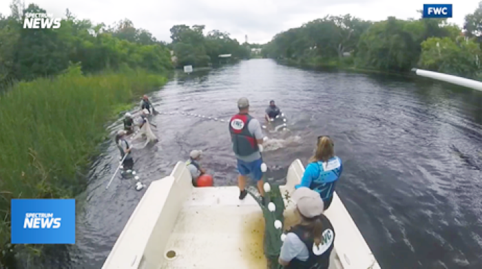 Inside Job November 21