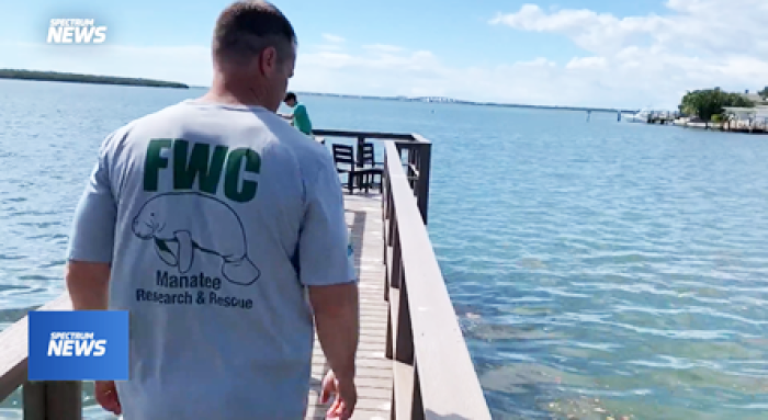 Inside Job November 21