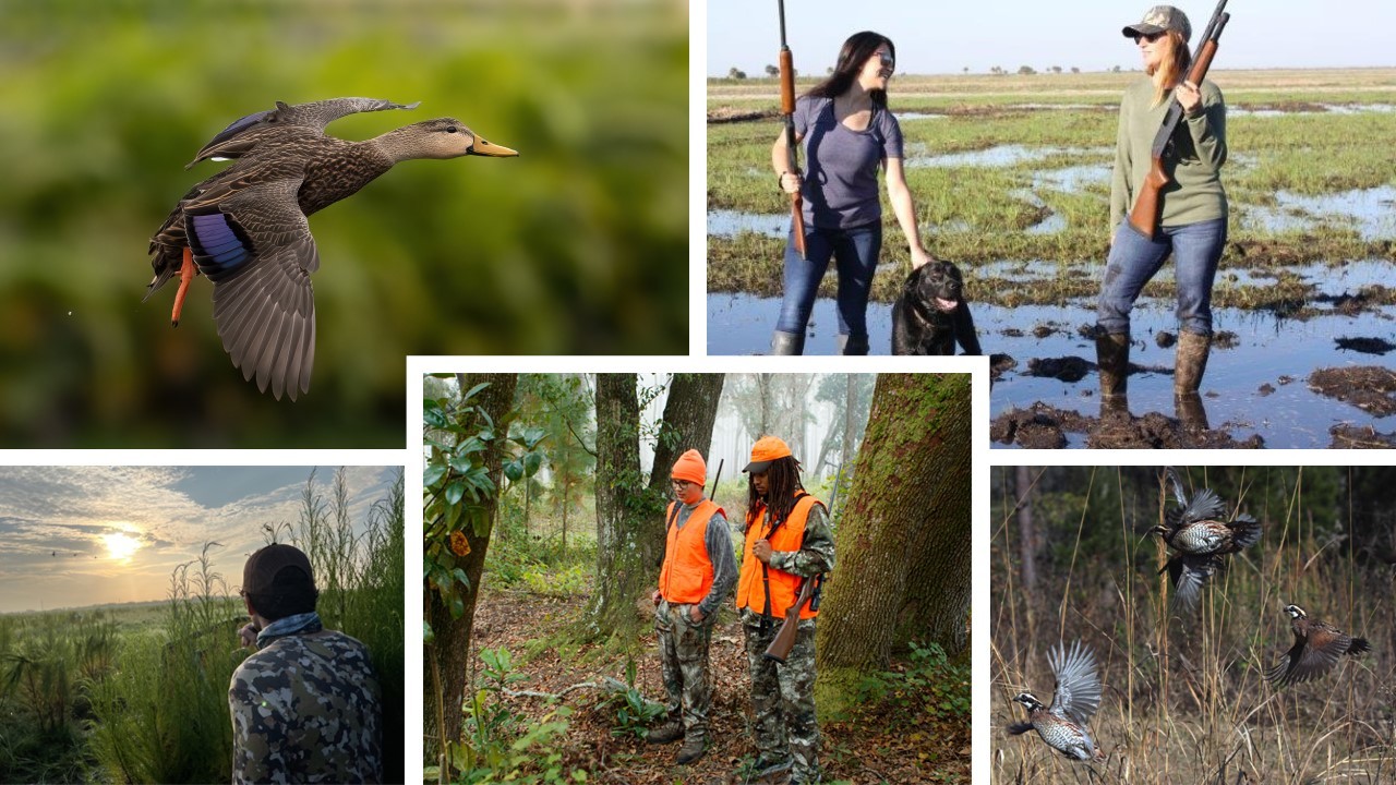 Update on proposed hunting rule changes for 2023-24