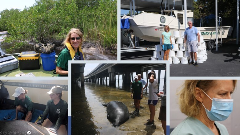 FWC honors Julie Carta as inaugural Sonya Rood Volunteer of the Year