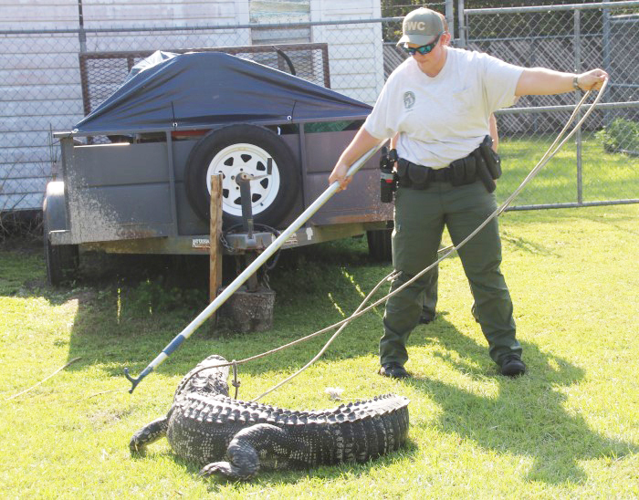 Inside Job September 18