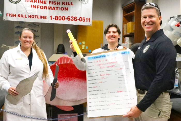 Inside Job February 19